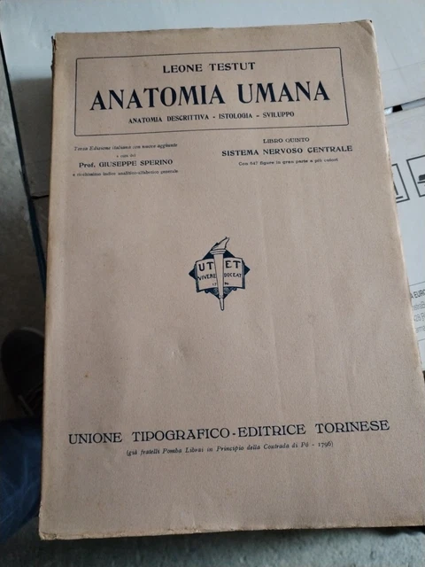 ANATOMIA UMANA ,SISTEMA Nervoso Centrale Leone Testut, 1920, Unione ...