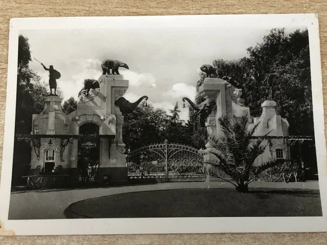 HAMBURG, GERMANY, TIERPARK Hagenbeck Zoo Entrance 1950's Real Photo ...