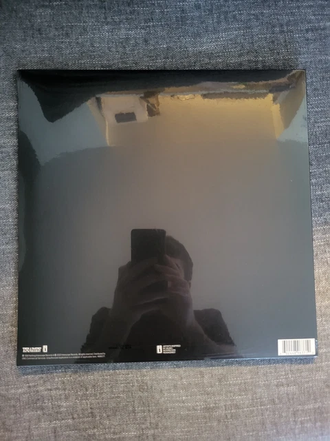 NINE INCH NAILS Downward Spiral picture disc vinyl alternate art ...