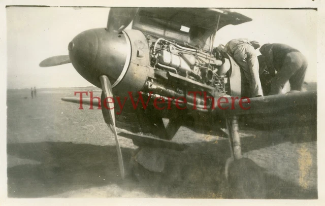 *WWII PHOTO-351ST SS- Captured German MESSERSCHMITT Me 109 plane & US ...