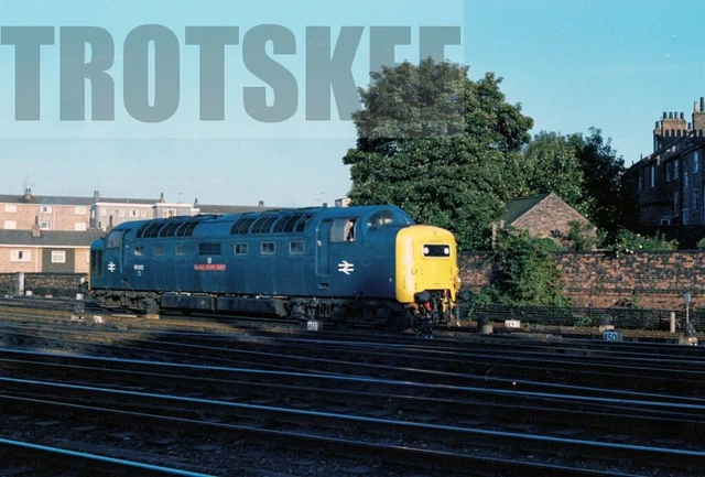 35MM COLOUR NEGATIVE BR British Rail Diesel Loco 55022 Class 55 c1985 £ ...
