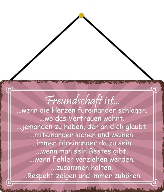 BLECHSCHILD 20X30 FREUNDSCHAFT Sinn Spruch Lebensmotto Regeln mit ...