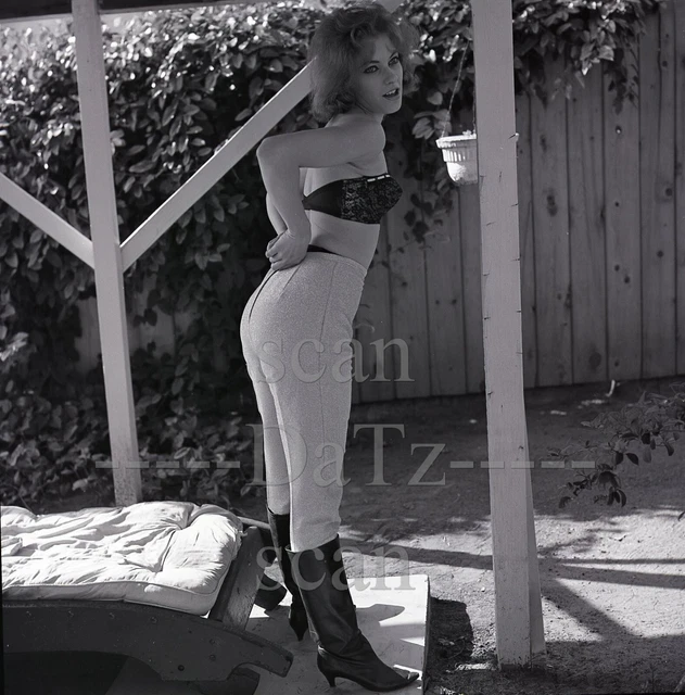 1960s Ron Vogel Negative Sexy Pinup Girl Linda Lee Cheesecake V216360 £