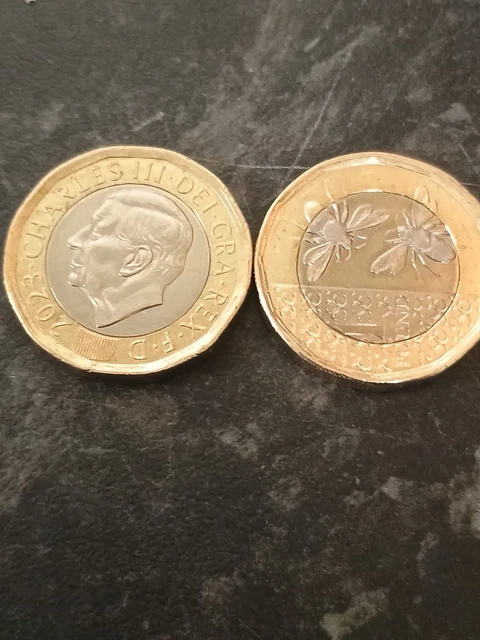 2023 & 2025 £1 Bee Coin Set Royal Mint £5.45 - PicClick UK