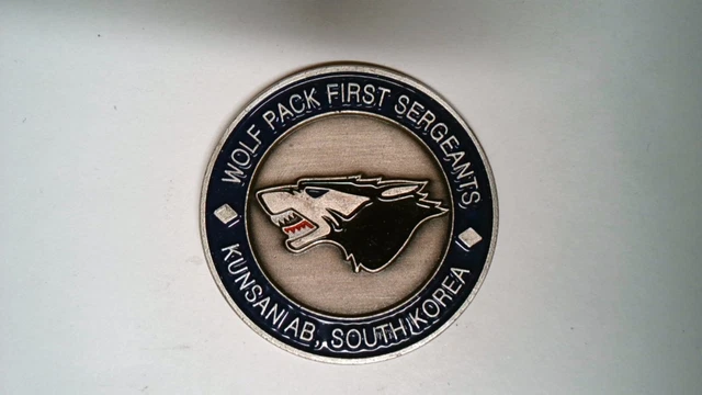 CHALLENGE COIN WOLF Pack First Sergeants Award Kunsan Ab, South Korea £ ...