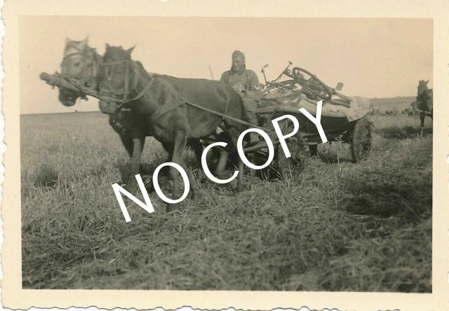 FOTO WK2 PFERDEFUHRWERK Soldat Fahrrad Bike Polen B 1.31 EUR 29,90 - PicClick DE