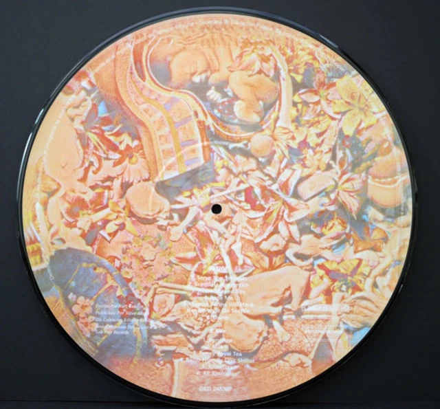 NIRVANA IN UTERO Vinyl Picture Disc First Pressing Rare GED24536P not ...