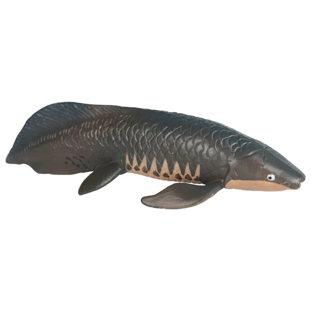 EDUCATIONAL PIRARUCU MODEL Simulation Fish Models Figurine Miniature ...