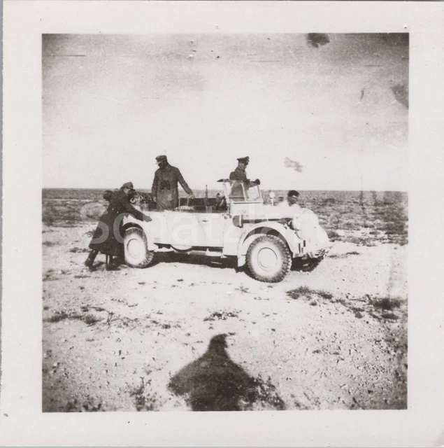 FOTO PANZER GR. Afrika, (DAK), der Wüstenfuchs, GFM im Pkw, 01 (MJ-35 ...