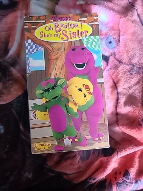 BARNEY’S OH BROTHER! She’s My Sister VHS $5.00 - PicClick CA