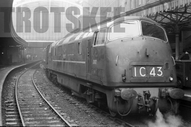 35MM NEGATIVE BR British Railways Diesel Loco Class 42 Warship D817 c1960s SC £8.02 - PicClick UK