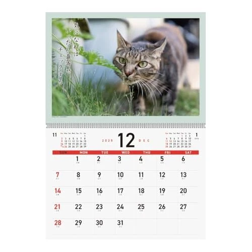 CALENDARIO 2026 GATTO Senryu EUR 38,43 - PicClick IT