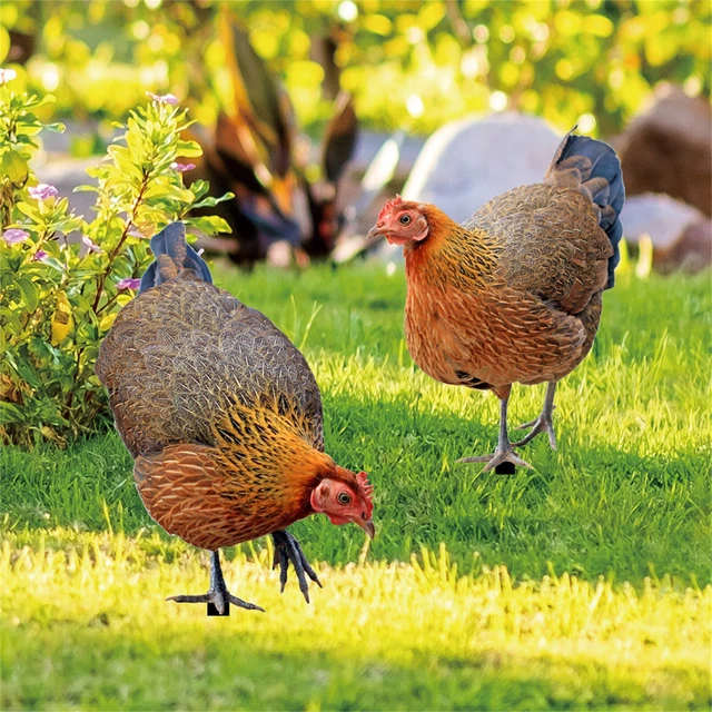HEN ACRYLIC OUTDOOR Garden Realistic Chicken Statue,Rooster Animals ...