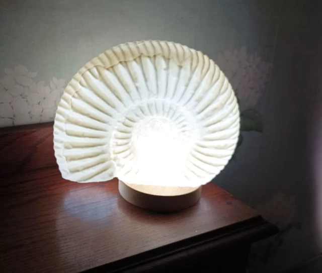 AMMONITE LAMP LED Light Nightlight Beautiful Scan £49.99 - PicClick UK
