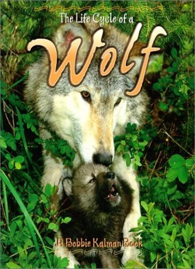 THE LIFE CYCLE of a Wolf-Amanda Bishop, Bobbie Kalman, Margaret £10.50 ...