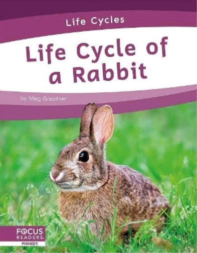 MEG GAERTNER LIFE Cycles: Life Cycle of a Rabbit (Gebundene Ausgabe ...