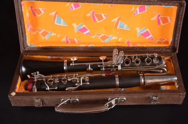 CLARINETTE DANS VALISE Clarinette Klarnet Instrument de Musique Neuf ...