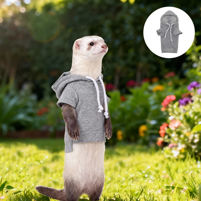 GUINEA PIG HOODIE Rabbit Sweater Ferret Winter Clothes Pet Apparel $19. ...