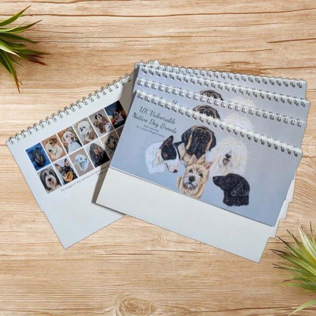 VULNERABLE NATIVE BREEDS Of The United Kingdom 2026 Desktop Calendar £ ...