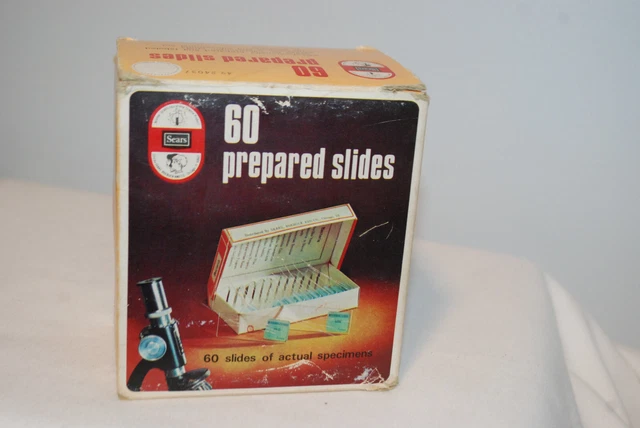 VINTAGE SEARS 60 Prepared Slides 49-24037 Labeled Educational Actual ...