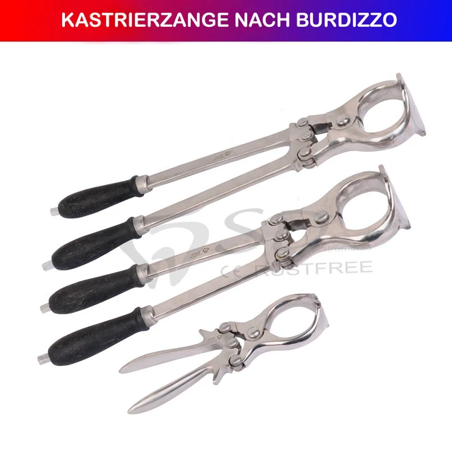 CASTRATION ET LA Stérilisation des Pinces Selon Burdizzo Unblutigen ...