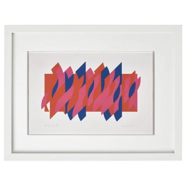 BRIDGET RILEY SIGNED in plate and Numbered + COA EUR 69,00 - PicClick FR