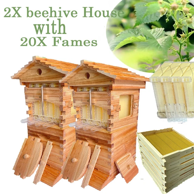 2X AUTO FLOWING Bee Hives Honey Boxes Beehive +20 x Beekeeping Comb ...