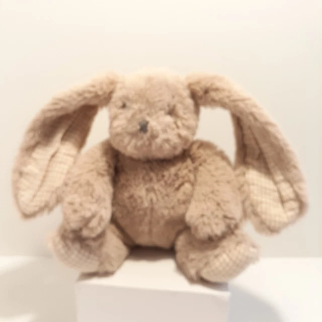 MORGAN & FINCH Bunny Rabbit Soft Toy 16cm Gingham Lined Ears Plush ...