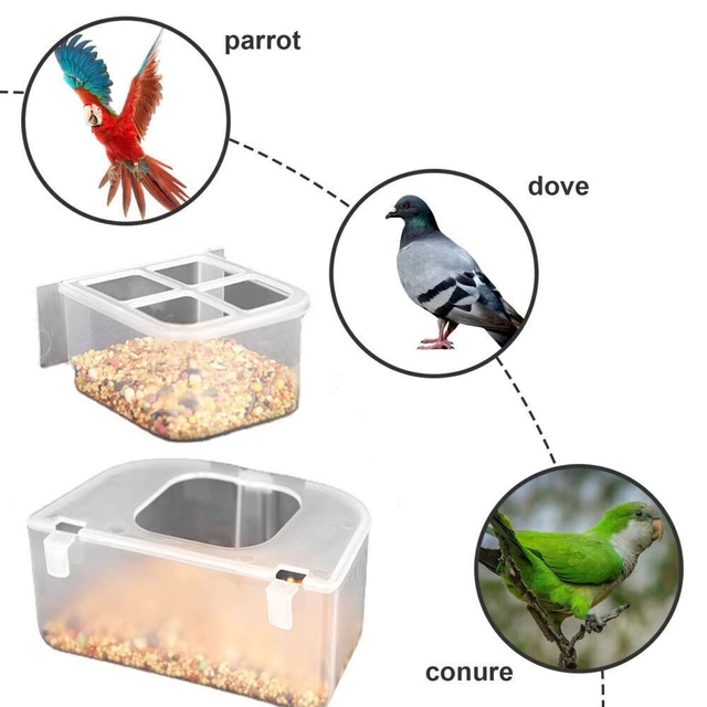 FEEDING SUPPLIES BIRD Water Tank Box Transparent Indoor Bird Feeder ...