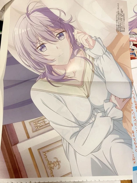 MEGAMI MAGAZINE 2025 A3 Pinup Poster Rock is a Lady's Modesty Tear Fold ...