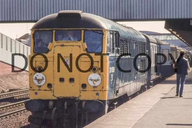 UK DIESEL TRAIN Railway Photograph Of Class 31 31109 Loco. (Rm31-37) £1 ...