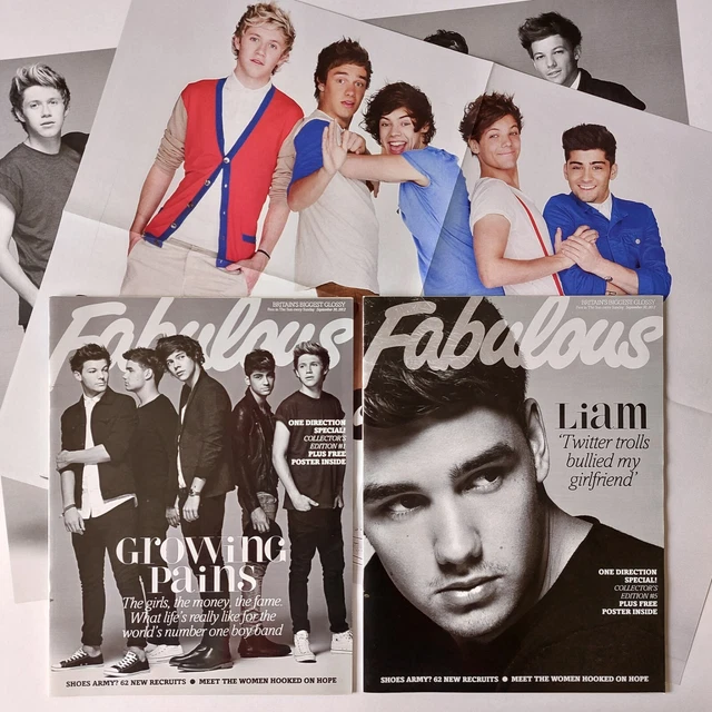 LIAM PAYNE (ONE Direction 1D) 2 x Fabulous UK The Sun Magazines ...