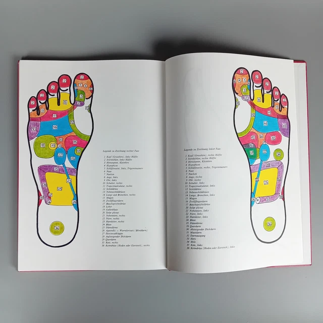 GESUND IN DIE Zukunft. Schwester Hedi Masafret Reflexologie Lehrbuch ...