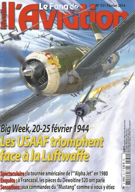 FANA DE L AVIATION N°531 LUFTWAFFE vs USAF 1944/ DEWOITINE 520 / P-51D ...