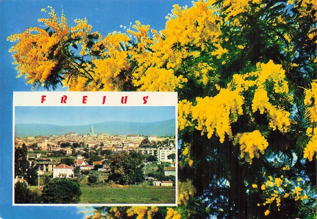 83 FREJUS SOUVENIR De Frejus EUR 5,90 - PicClick FR