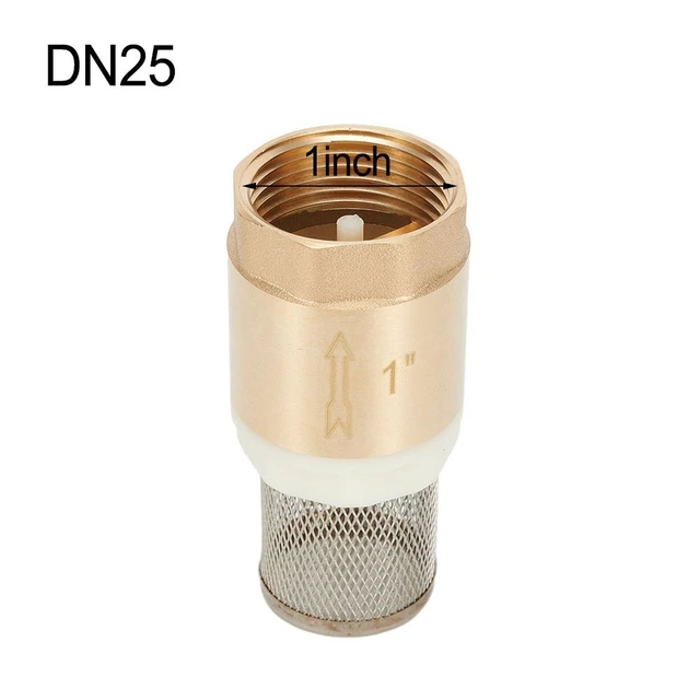 BRASS FOOT VALVE DN25 & Check Valve Stainless Steel Basket Suction ...