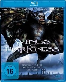 WINGS OF DARKNESS [Blu-ray] von Wynorski, Jim | DVD | Zustand gut EUR 4,56 - PicClick DE