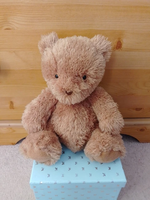 JELLYCAT. PUDGE BEAR. Brown. Retired And Rare. Lovely Condition. No ...