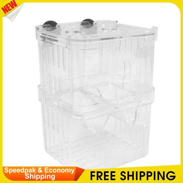 ACRYLIC FISH BREEDING Box Aquarium Isolation Double Guppies Hatching ...