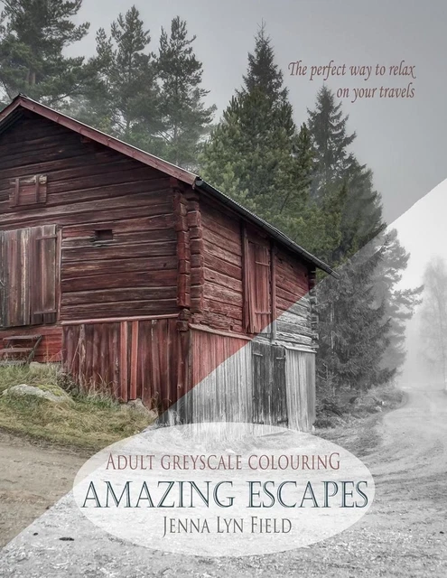 AMAZING ESCAPES BY Jenna Lyn Field (anglais) livre de poche EUR 12,24 ...