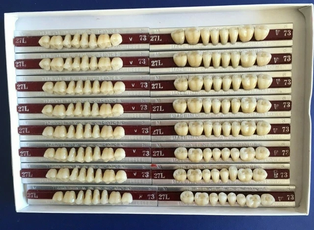 DENTSPLY NEW HUE Dentist Dental Lab Porcelain Denture Teeth 27L UL 73 ...