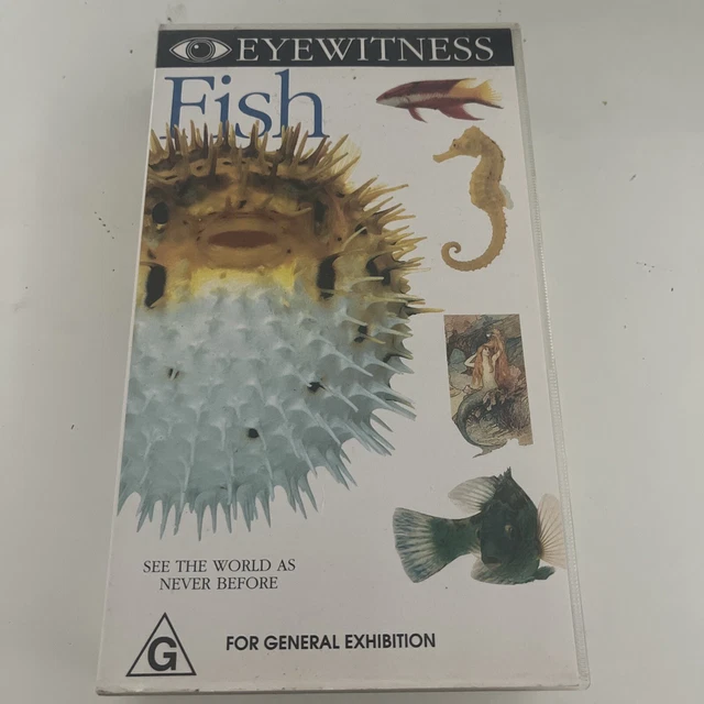 EYEWITNESS FISH 1984 VHS fish ocean Australia Video. Collectable Rated ...