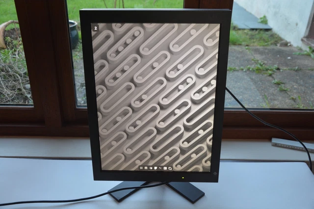 EIZO GS RADIFORCE GS320-CL 21.3" monochrome LCD monitor £88.88 ...