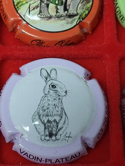 CAPSULE DE CHAMPAGNE Vadin Plateau Rare EUR 1,00 - PicClick FR