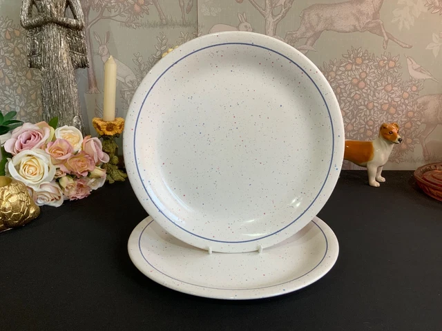 PAIR JOHN TAMS Banquet Confetti Dinner Plates Blue Rimmed Vintage ...