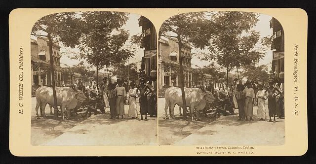 SRI LANKA CHATHAM Street, Colombo, Ceylon Historic Old Photo $9.00 ...