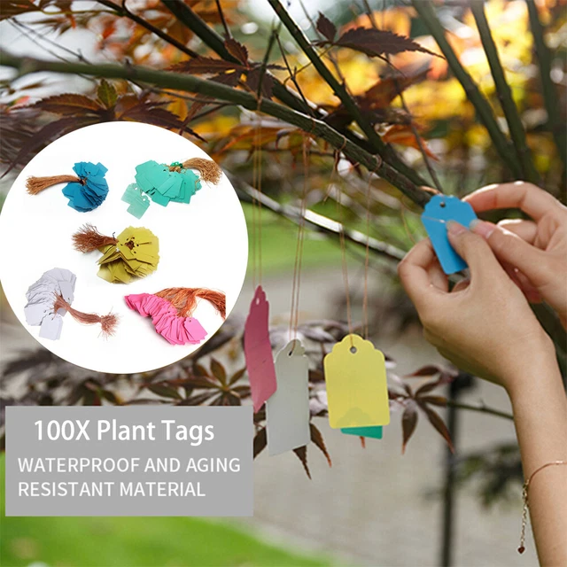 TOOL GARDENING SUPPLIES Tree Markers Fruit Trees Signs Plant Tags ...