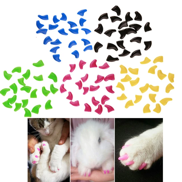 CHAT GRIFFE COUVRE Chats Griffe Caps Ongles Pour Chats Griffe Caps Pour ...