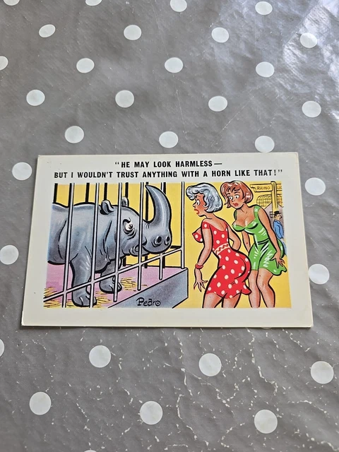 VINTAGE SAUCY SEASIDE Comic Postcard Sunny Pedro Series No 111 By Pedro ...