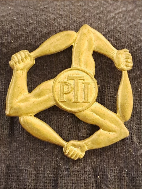 ROYAL AIR FORCE RAF Physical Training Instructor PTI brass arm badge £ ...